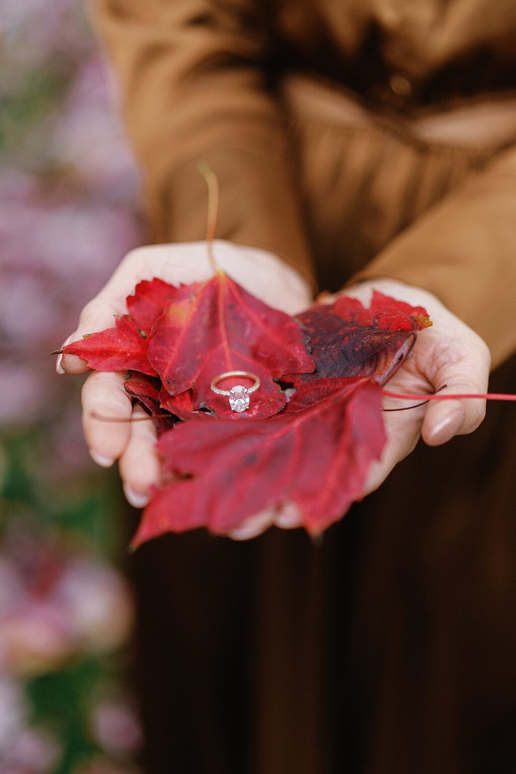 Ford House Engagement Session - Detroit & Northern Michigan Engagement ...